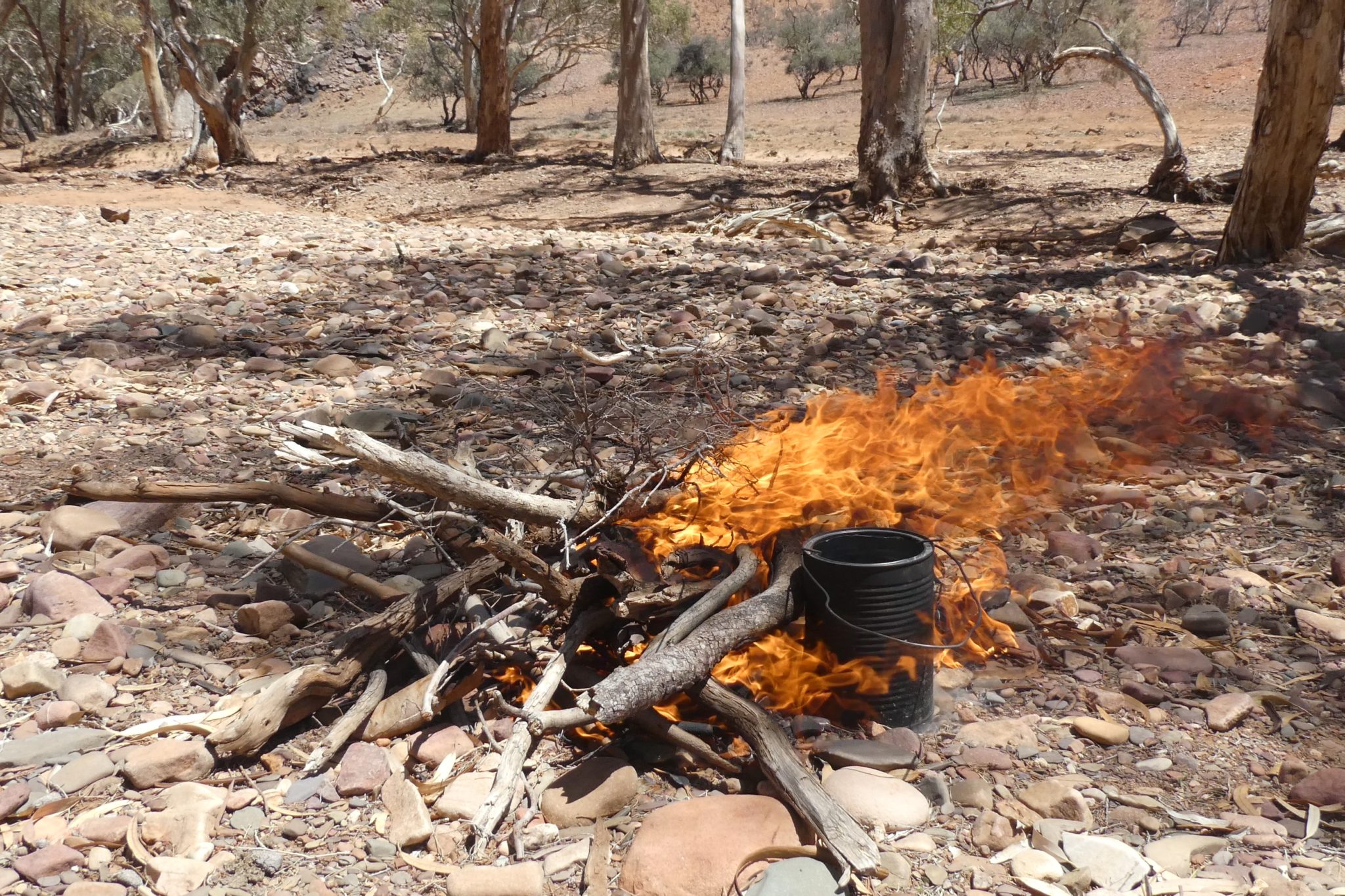 Mobile Language Team | Leigh Creek Akurra trail